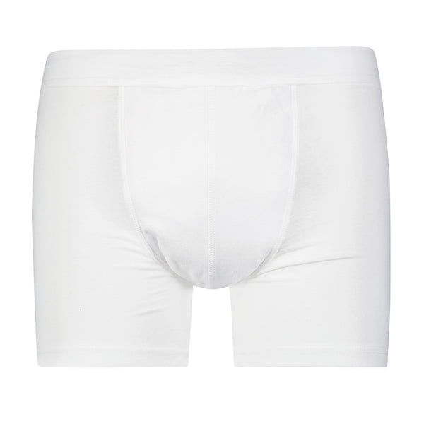 Full Coverage Regular Absorbency Trunk Boxer Brief (SKU: MBB300 ...
